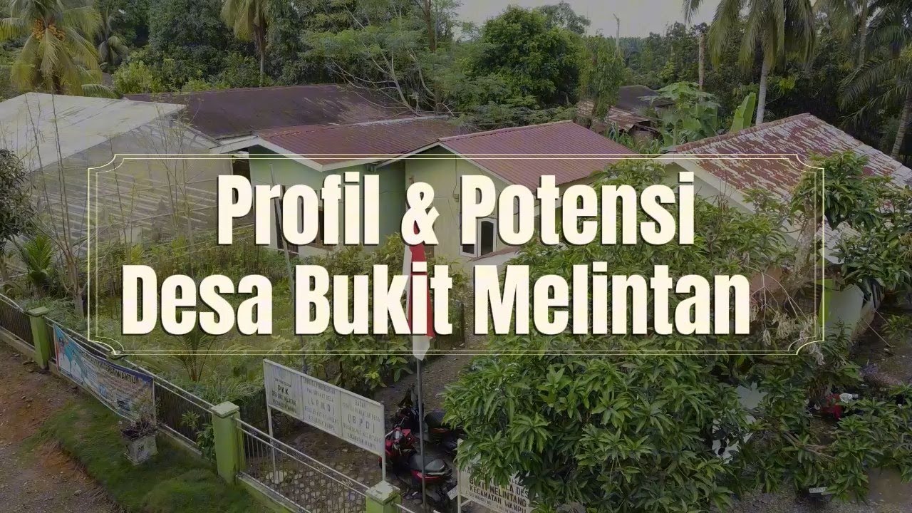 VIDEO PROFIL DAN POTENSI DESA BUKIT MELINTANG KECAMATAN WAMPU 2025