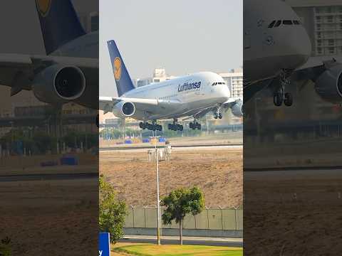 Lufthansa A380 Landing at LAX Airport #aviation