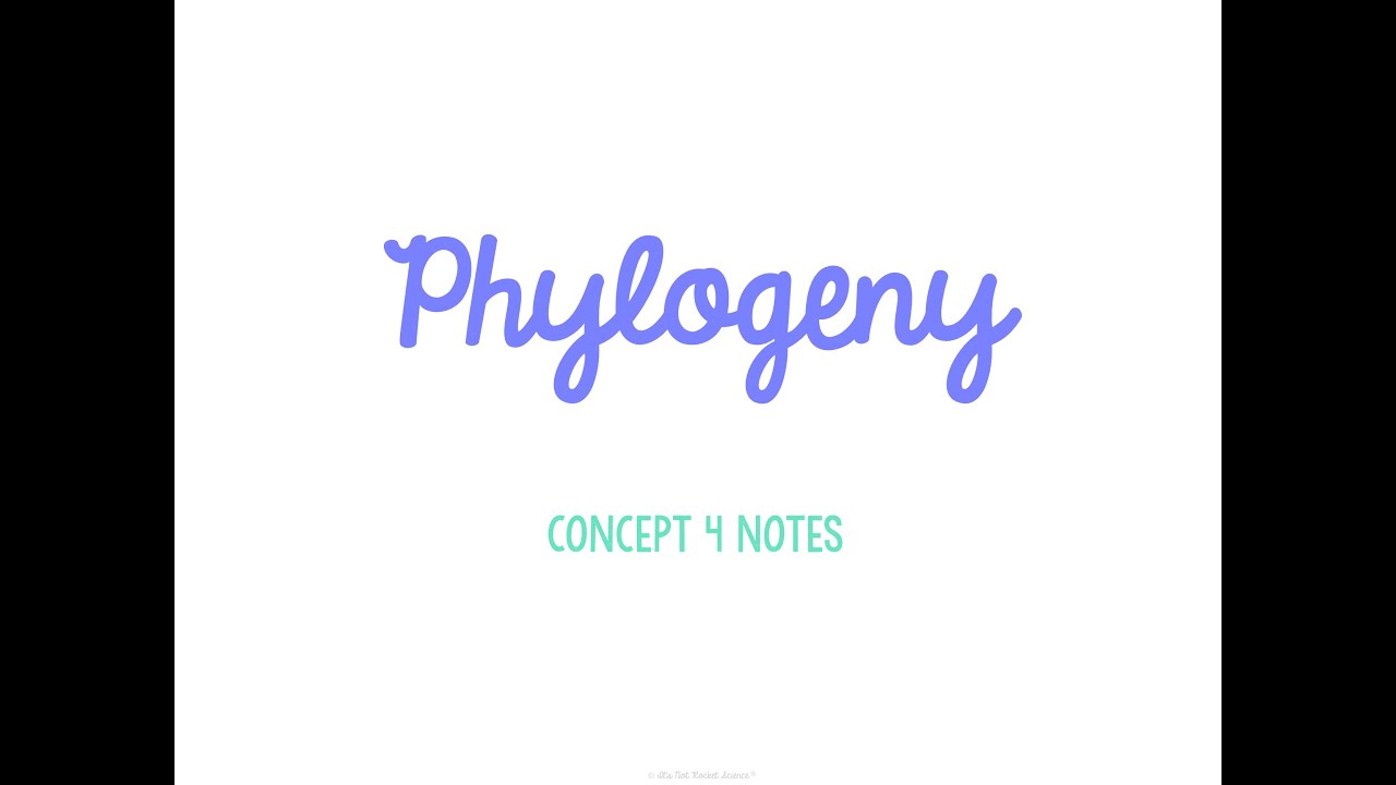 Unit 6 Evolution Concept 4 Notes *UPDATED*