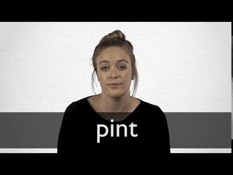 PINT definition and meaning | Collins English Dictionary