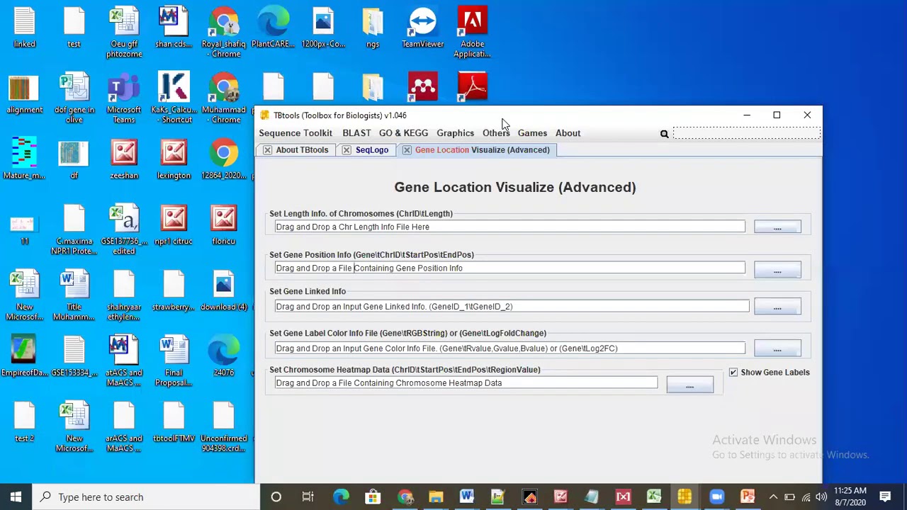 Chromosome  gene location using tbtool