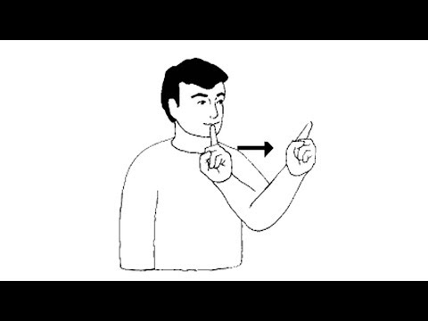 American Sign Language ASL Video Dictionary - it is