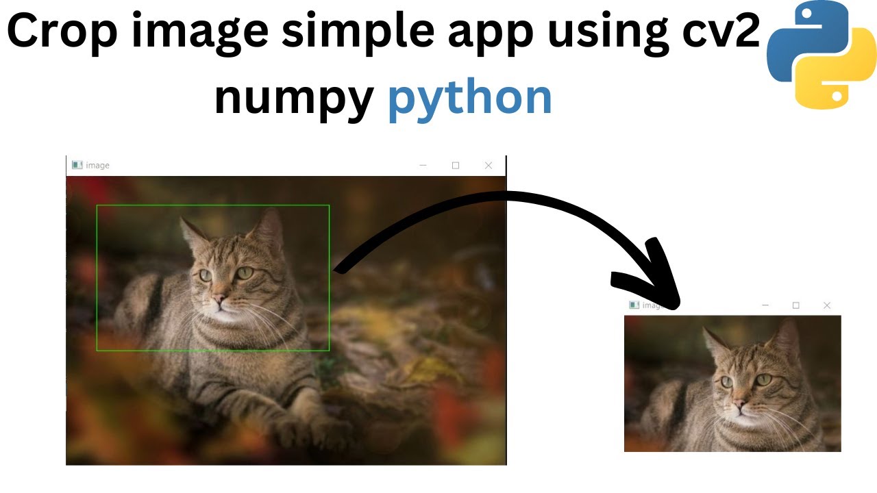 Crop image simple app using cv2 numpy python using Mouse
