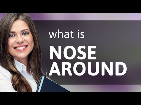 Unraveling Idioms: The Meaning of "Nose Around"