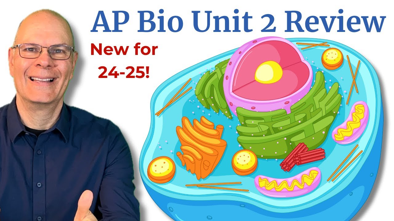 Mastering AP Biology Unit 2: Cell Structure and Function | Galaxy.ai