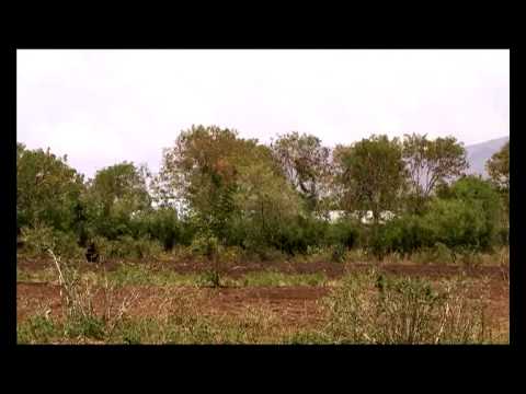 Shamba Shape-Up ep 3 Homabay, Kenya (English)