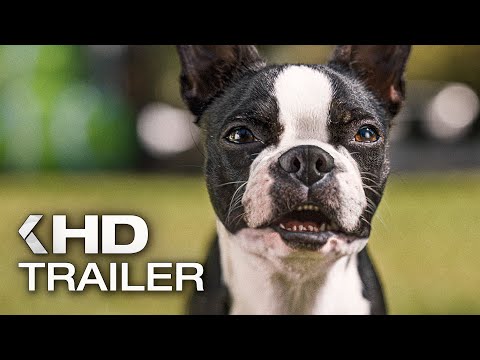 STRAYS Trailer (2023)