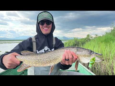 Alaska Pike Fishing