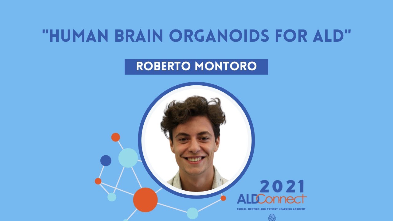 Human Brain Organoids for ALD
