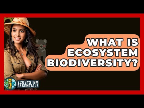 What Is Ecosystem Biodiversity? - Ecosystem Essentials