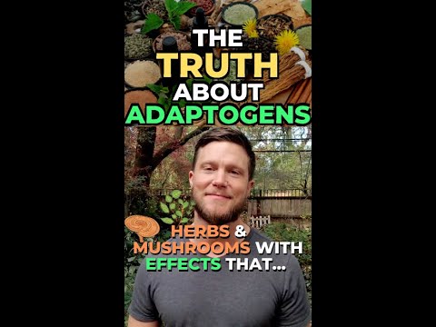 The Truth About Adaptogens