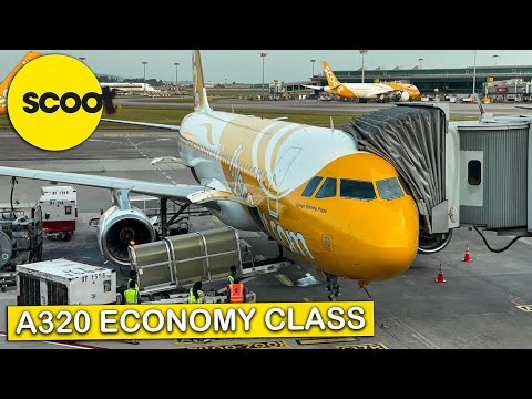 SCOOT A320ceo on a Short Flight - Is Flying Economy Worth It?