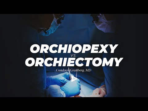 Orchiopexy vs. Orchiectomy by Candace F. Granberg, MD | Preview