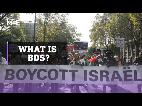 What is the BDS movement?