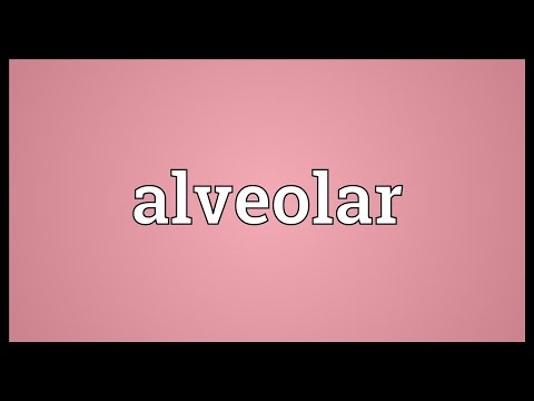 Alveolar Meaning
