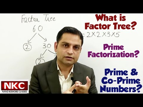 What is Factor Tree? What are Prime & Composite Numbers? What is Prime Factorization?