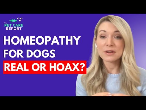 Homeopathy for Dogs - Does It Really Work or Is It a Scam?