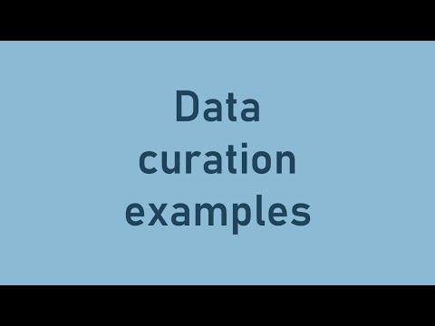 Data Curation Examples