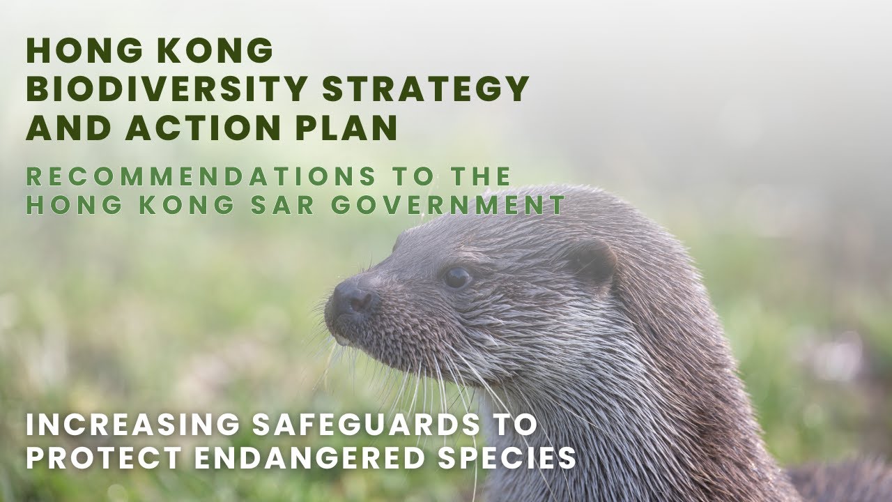 Hong Kong’s BSAP - Protecting Endangered Animals and Plants