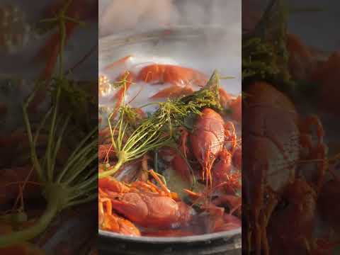 Lobster From Prison Food to Luxury!