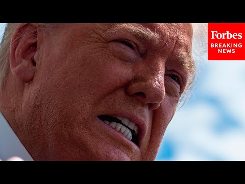 'Bull---!': Bill Barr Roasts Trump, ‘2000 Mules’ In January 6 Committee Testimony