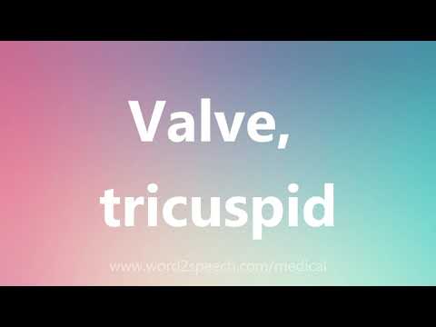 Valve, tricuspid - Medical Definition and Pronunciation