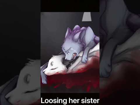 Warrior cats who went through the most pain