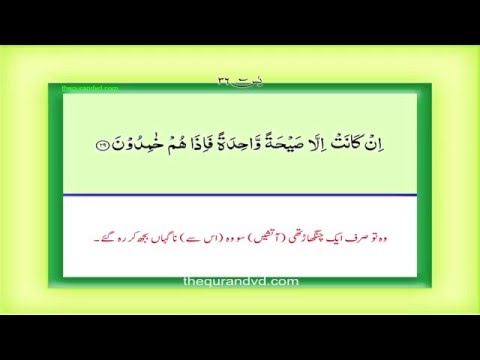 Para 23 - Juz 23 Wa-ma-liya HD Quran Urdu Hindi Translation