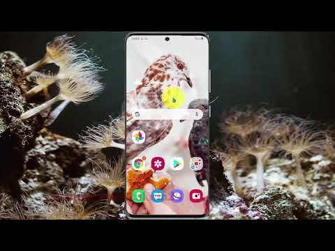 Samsung Galaxy S20 : How to Enable or Disable Allow JavaScript in Samsung Internet (Android 10)