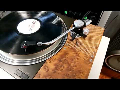 E1 Technics SL 110....new wood...