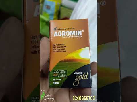 Agromin Gold in stock || Aries || Best micronutrients