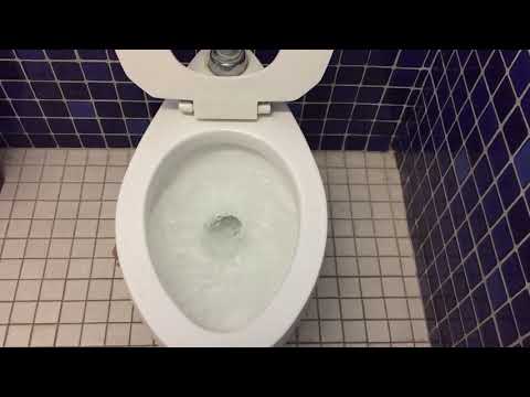 1980’s American Standard Madera Toilet.