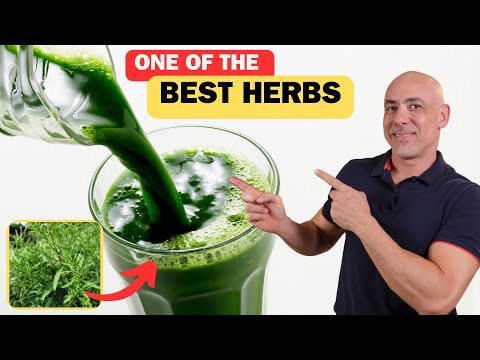 Epazote: The Medicinal Plant That Reduces Inflammation and Boosts Immunity | Dr. Dayan Siebra