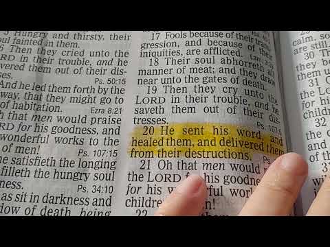 Review of the LARGE PRINT KJV Bible at Walmart