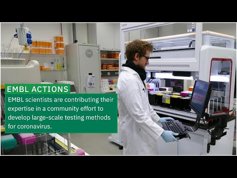 EMBL scientists helping to scale up coronavirus testing