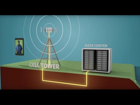 Your Digital Footprint: Data and Energy Use | California Academy of Sciences