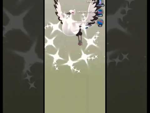 🔥RARE Go Fest SHINY HATCH🔥 #pokemongo #pokemongolive #shinypokemon #gofest #galarianbirds