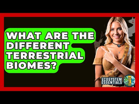 What Are The Different Terrestrial Biomes? - Ecosystem Essentials