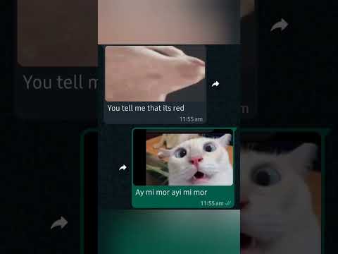 no comments #meme #funny #like #gaming #anime #fortnite #comedy #memes #fun #games #photograp #love