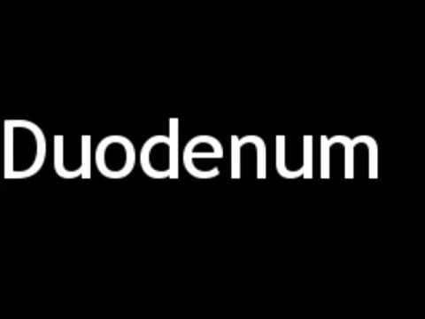 How to Pronounce Duodenum