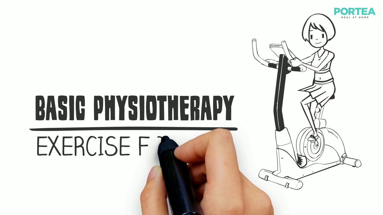 Basic Physiotherapy Exercises for Back
