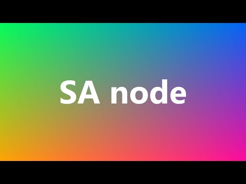 SA node - Medical Meaning and Pronunciation