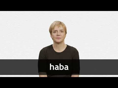 English Translation of “HABA” | Collins Spanish-English Dictionary