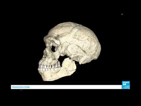 Archaeology: The discovery of oldest Homo sapiens in Morocco rewrites human history