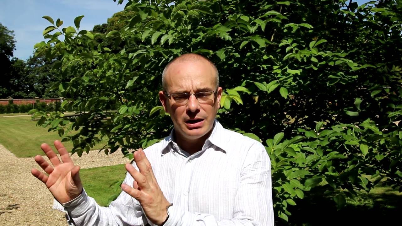 The Big Problems with Big Data