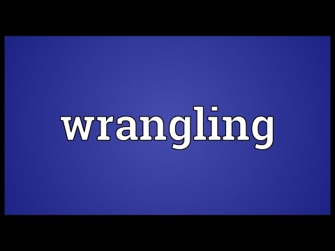 Wrangling Meaning