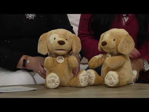 Gund Spunky Dog ABC/123 Animated Plush on QVC