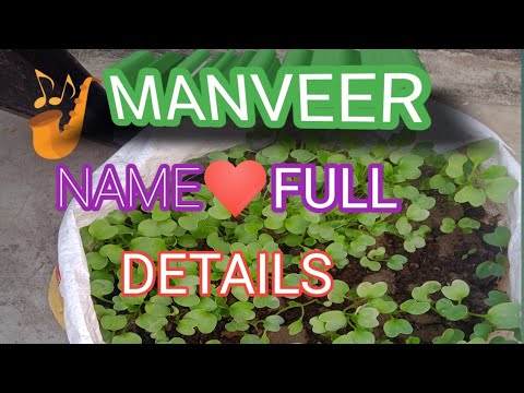 MANVEER NAAM KA MATALAB ll MANVEER NAAM KI RASHI ll #top secret of the name #astrology viral