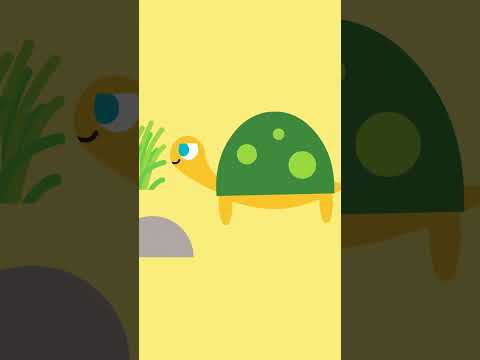 PBS KIDS Celebrates: World Turtle Day! | PBS KIDS #Shorts 🐢