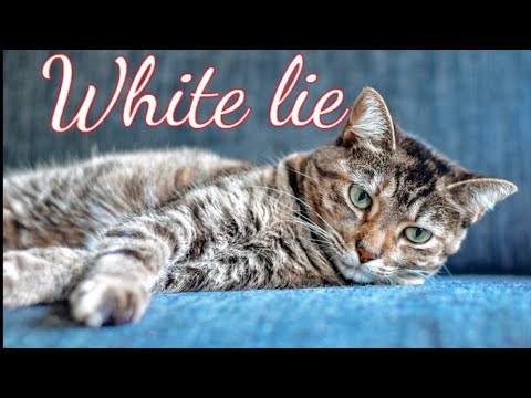 White lie || Idiom || Pronunciation || Meaning || Usage ||